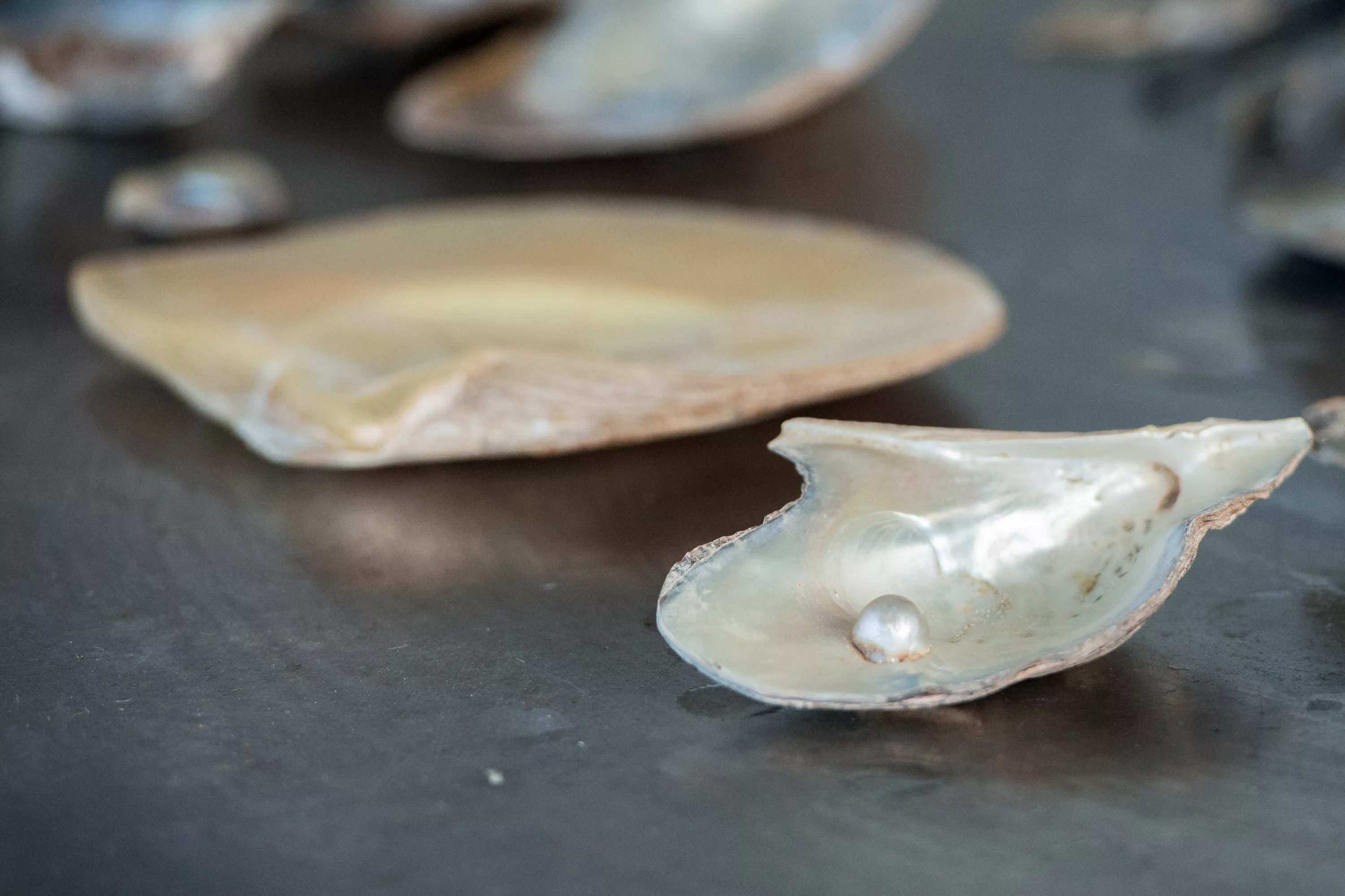 Different Types of Pearls and How to Take Care of Pearls